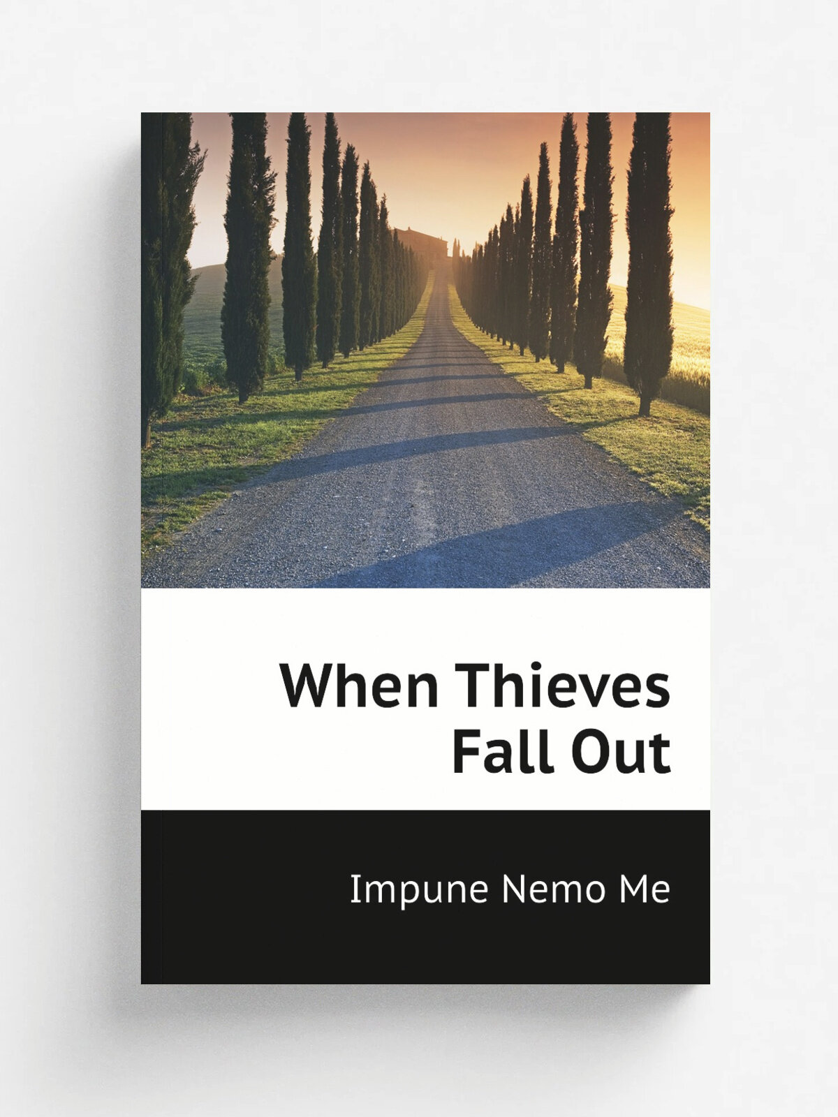 When Thieves Fall Out | Impune Nemo Me | Репринт