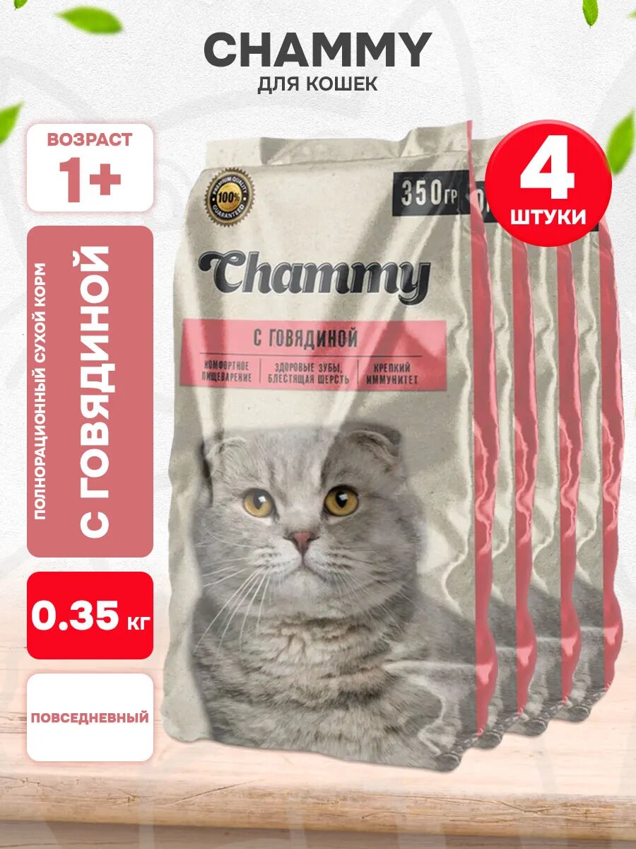 Корм сухой Chammy для взрослых кошек, говядина, 350 г 4 шт