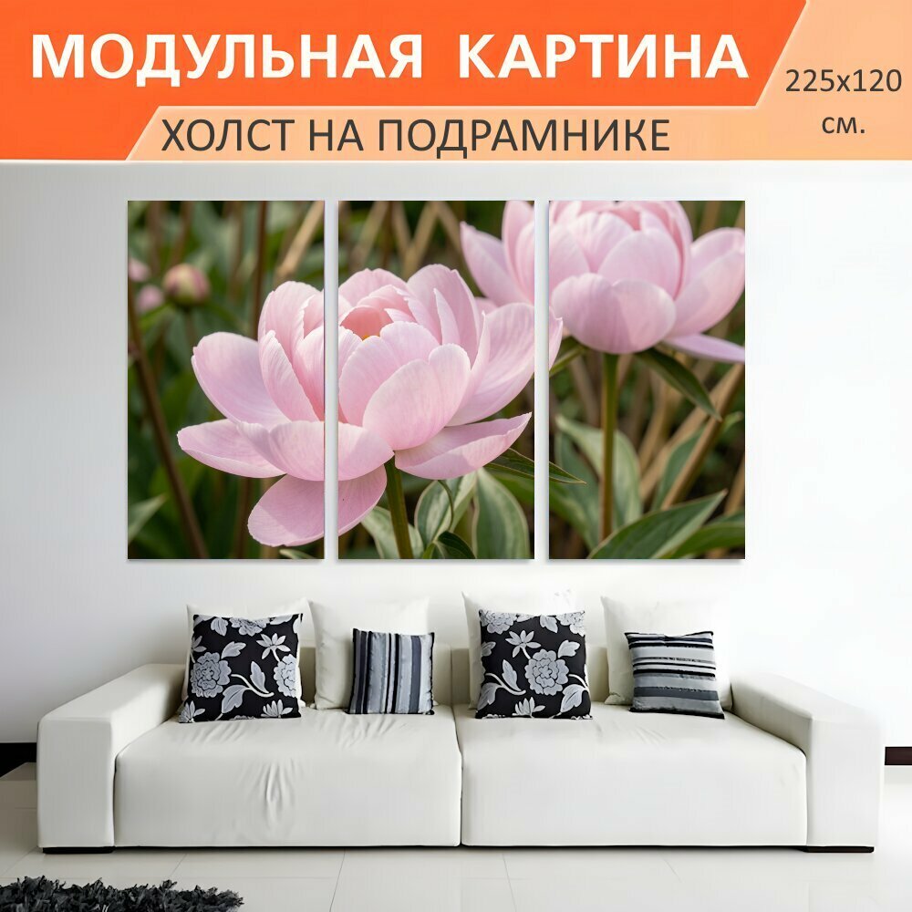 Модульная картина на холсте "На изображении крупным планом изображены нежно-розовые пионы с аккуратными лепестками, окружённые." триптих на подрамнике 225х120 см. для интерьера