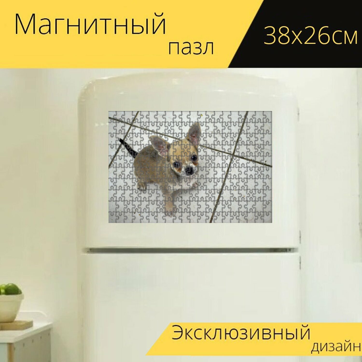 Магнитный пазл "Щенок Чихуахуа (d) щенок чихуахуа животные собака щенок чихуахуа порода домашнее животное домашние животные игривая собака-компаньон собака игрушки" для интерьера, 38х26 см.