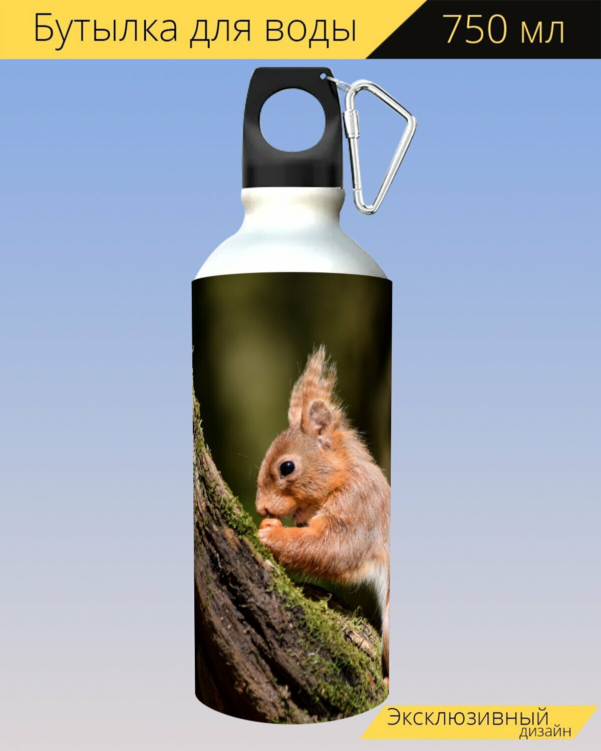Бутылка фляга для воды "Белка, redsquirrel, дерево" 750 мл. с карабином и принтом