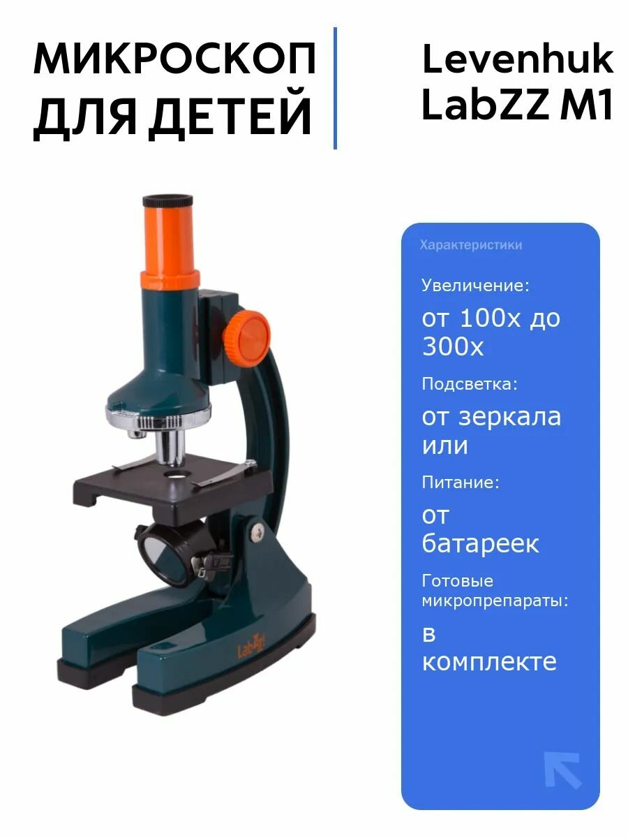 Детский микроскоп Levenhuk LabZZ M1 с увеличением до 300x и подсветкой для изучения микромира
