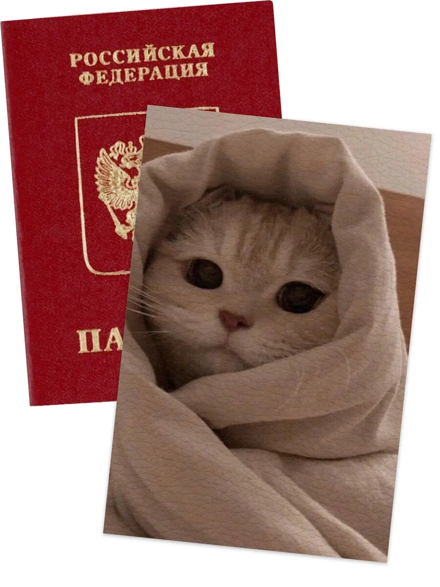 Обложка для паспорта