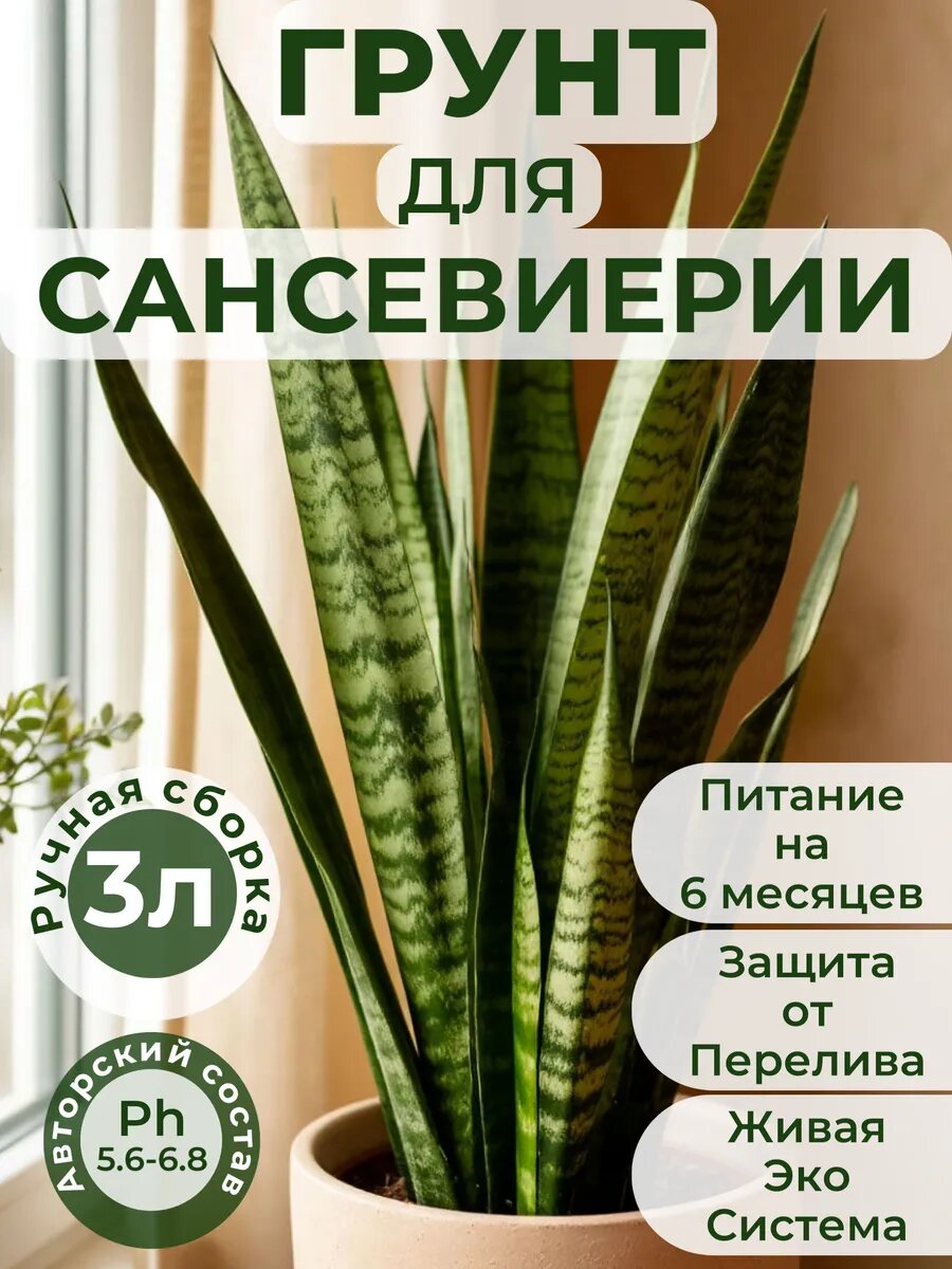 Готовый авторский грунт для Сансевиерии, премиум 3 литра