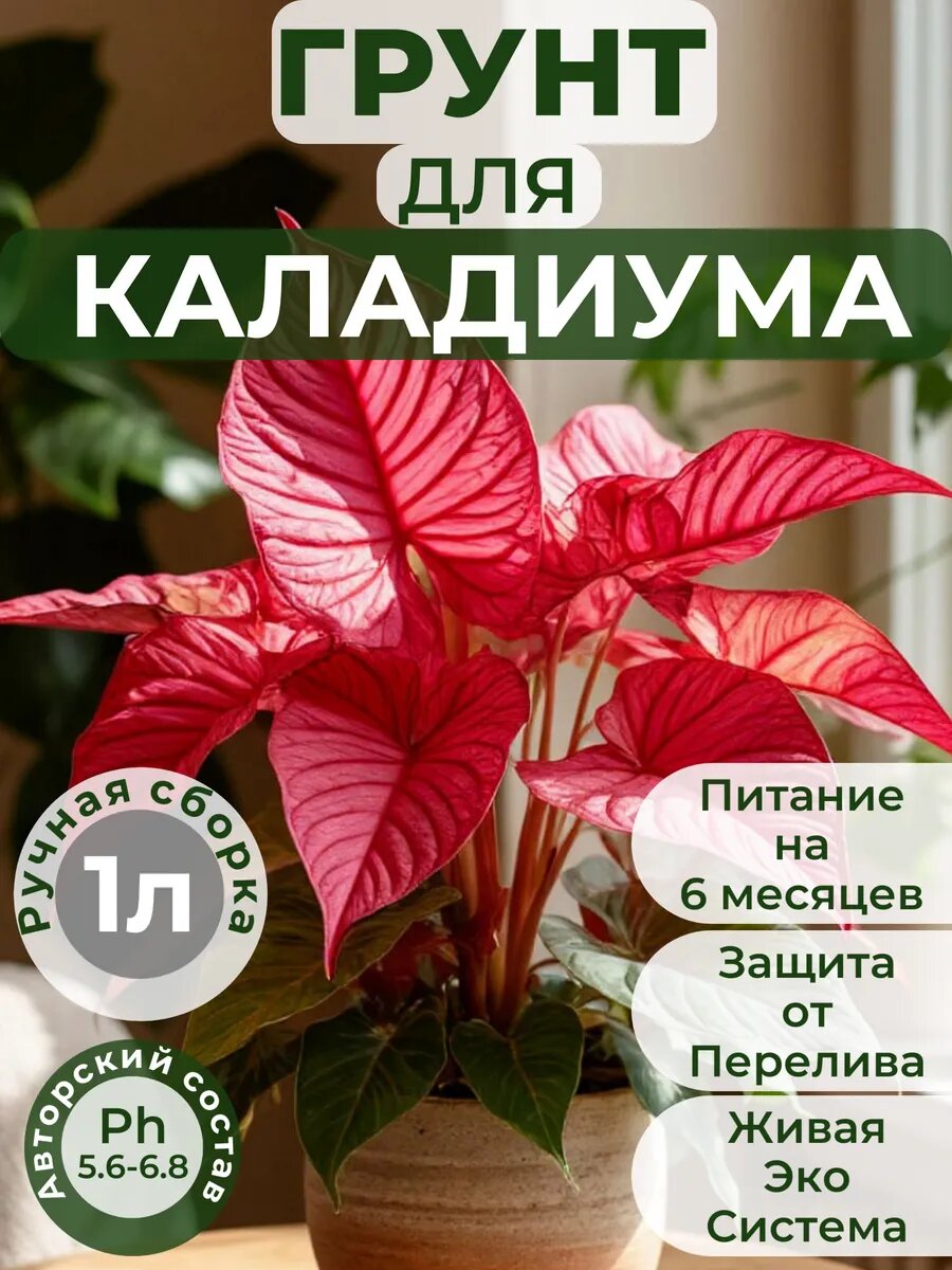 Готовый авторский грунт для Каладиума, премиум 1 литр