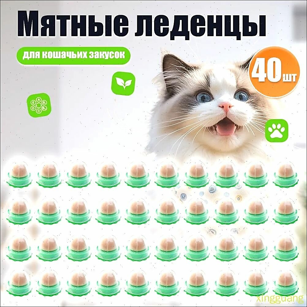 Игрушка-шарик с кошачьей мятой, Леденец для котов с витаминами, 40 шт