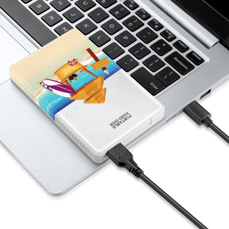 Внешний жесткий диск (320ГБ) Blueendless "Пляж "HDD USB 3.0