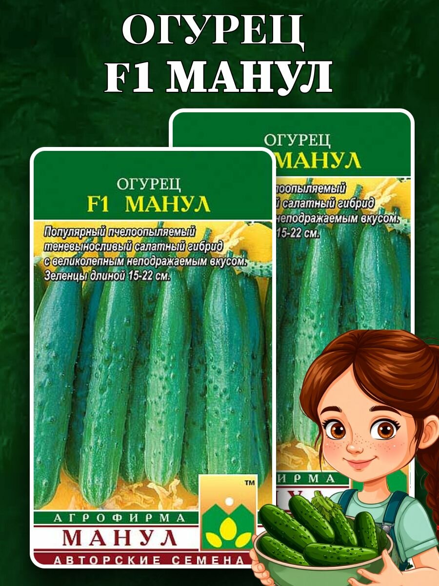 Семена огурца "Манул", гибридные, для открытого грунта, 2 уп.