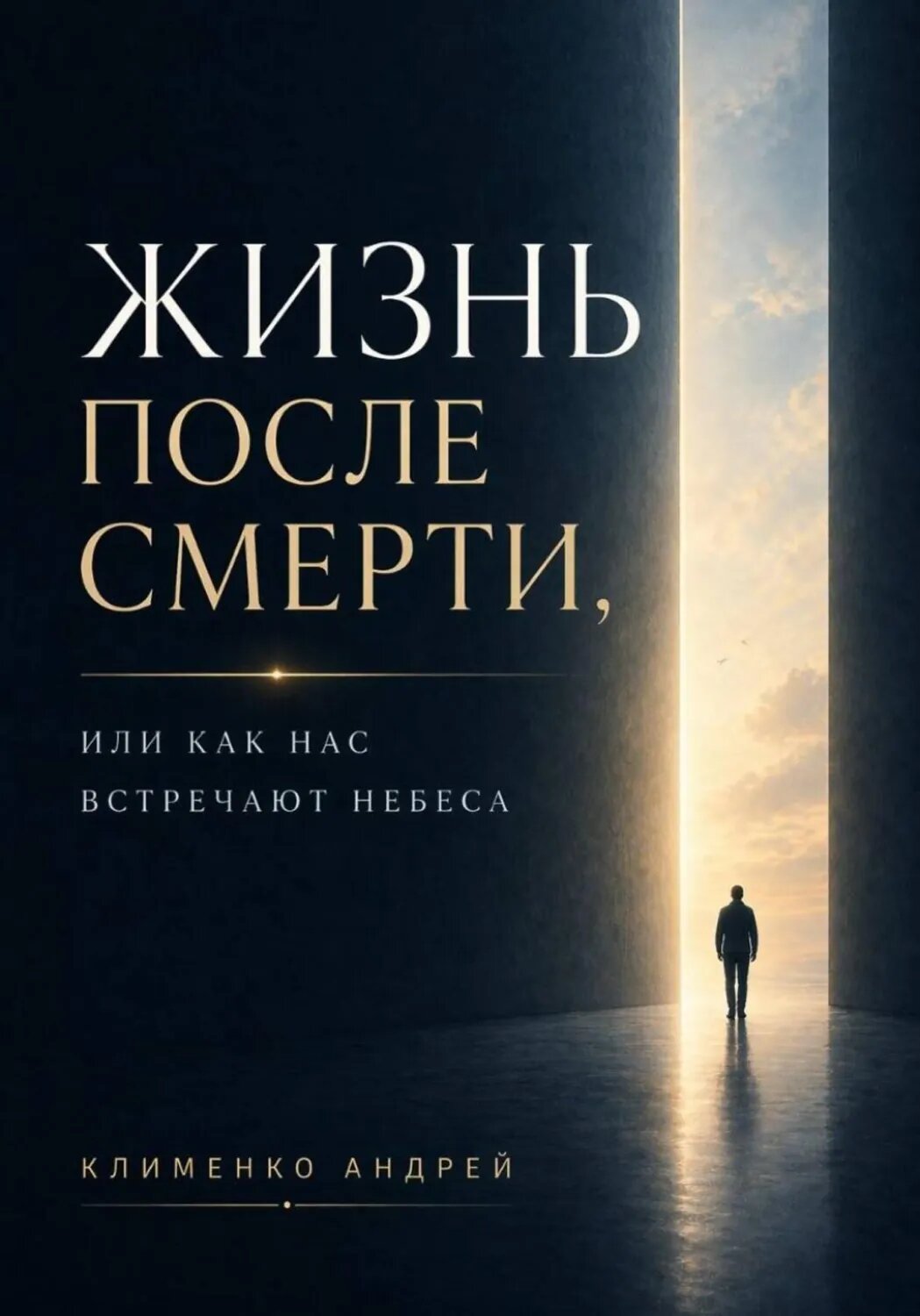 Жизнь после смерти [Цифровая книга]