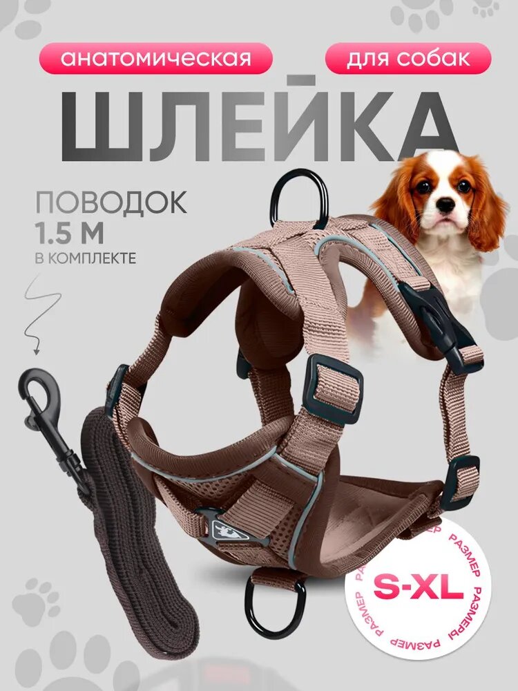 Шлейка для собак мелких и средних пород, с поводком, анатомическая светоотражающая, коричневая