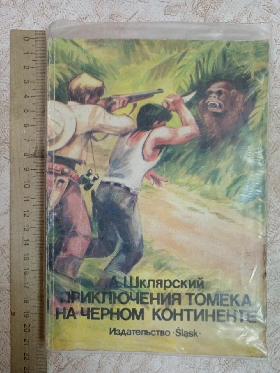 Приключения Томека на черном континенте