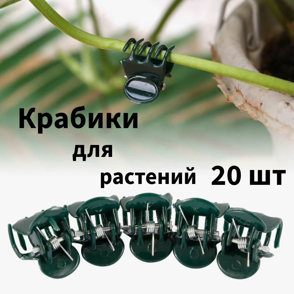 Зажимы для растений, клипсы для орхидей, крабики 20 шт клипсы для растений зажимы для цветов держатели для орхидей