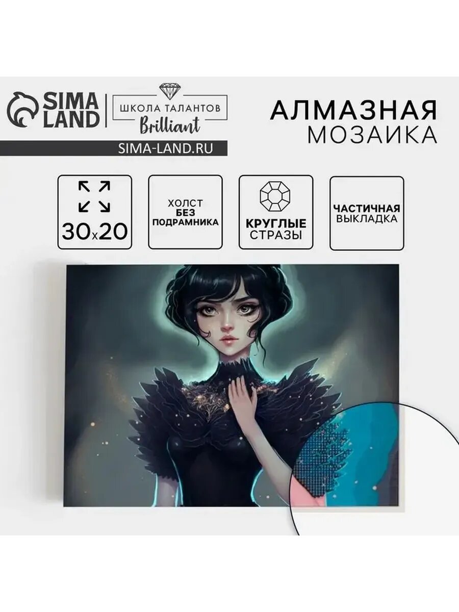 Мозаика с частичным заполнением «Девушка в черном»