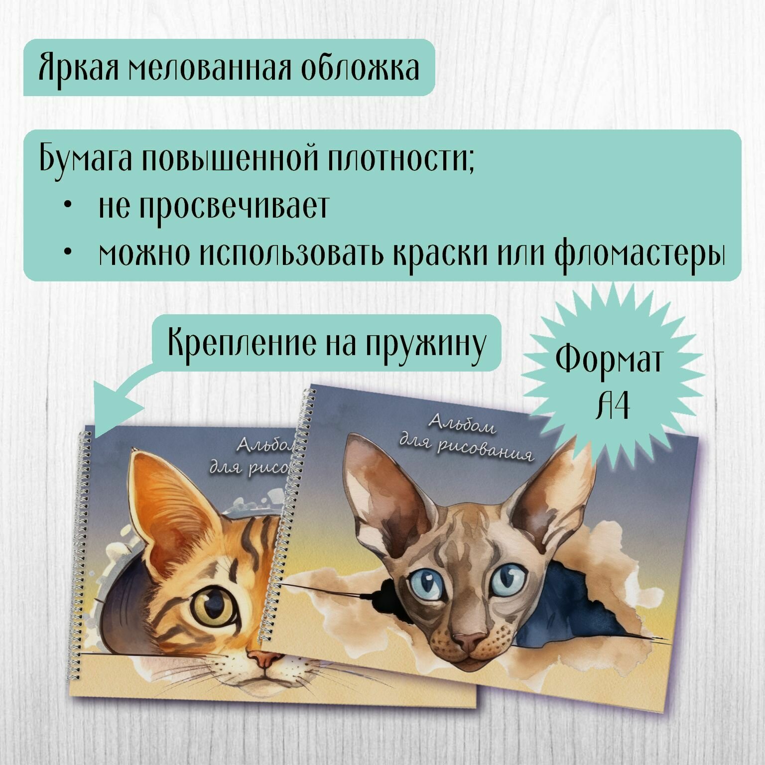 Альбомы для рисования Котики — фото 1
