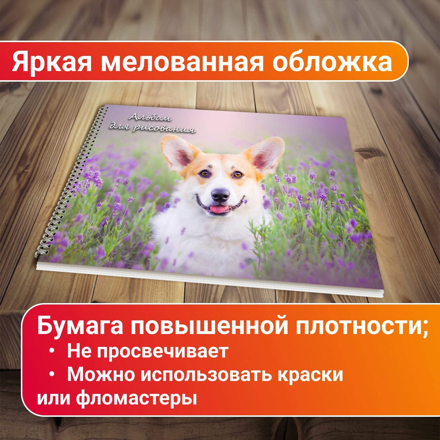 Альбом для рисования Корги — фото 1