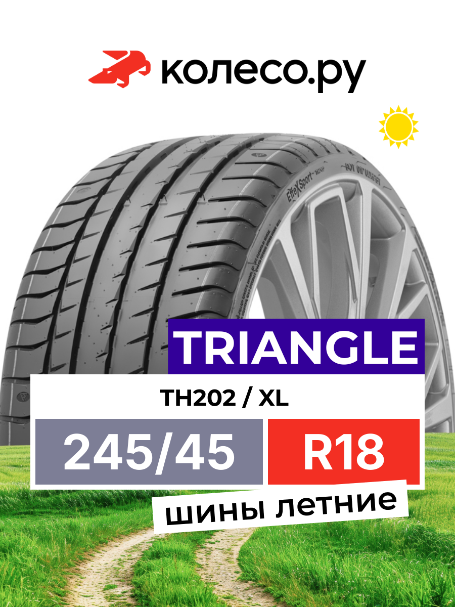 Шины летние Triangle TH202 245/45 R18 100Y XL нешипованная летняя резина