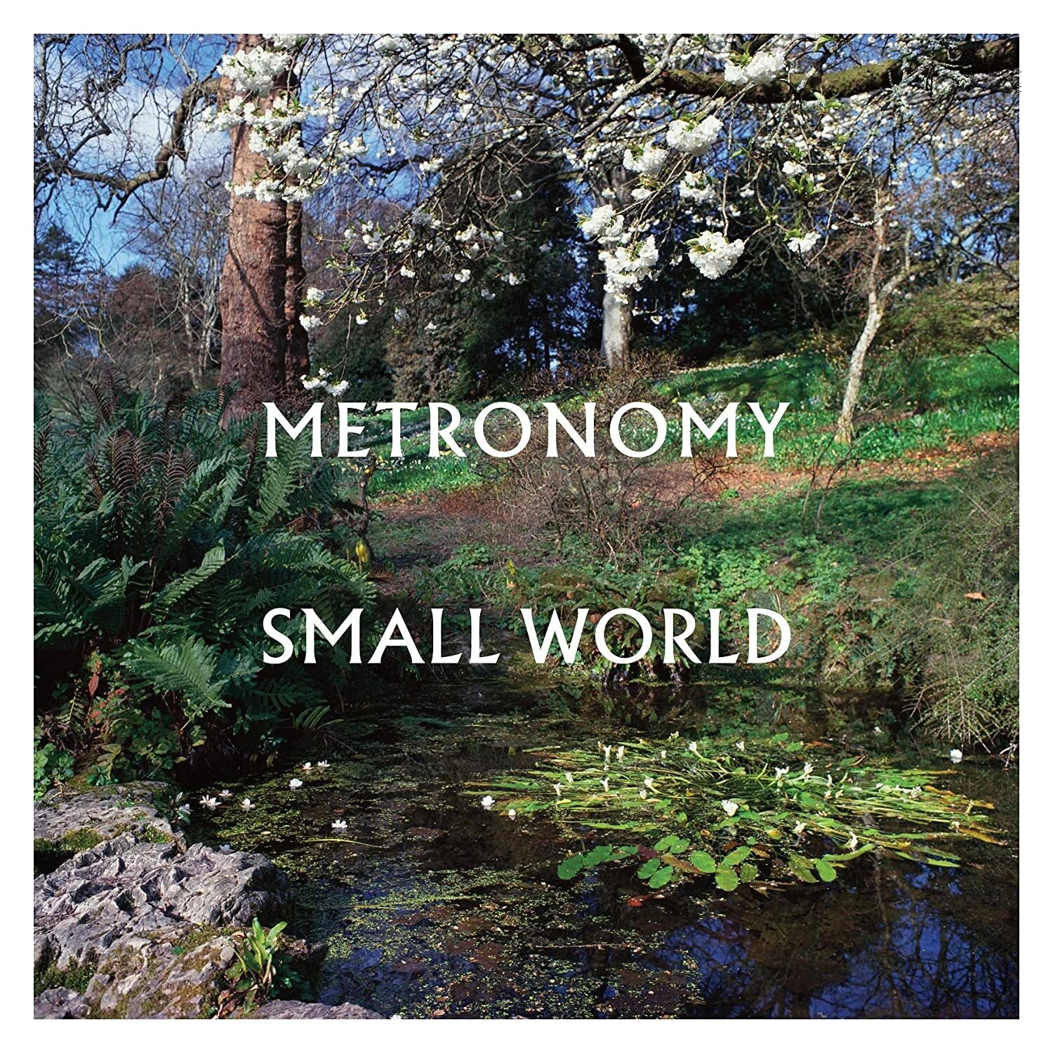 Metronomy - Small World - новая виниловая пластинка