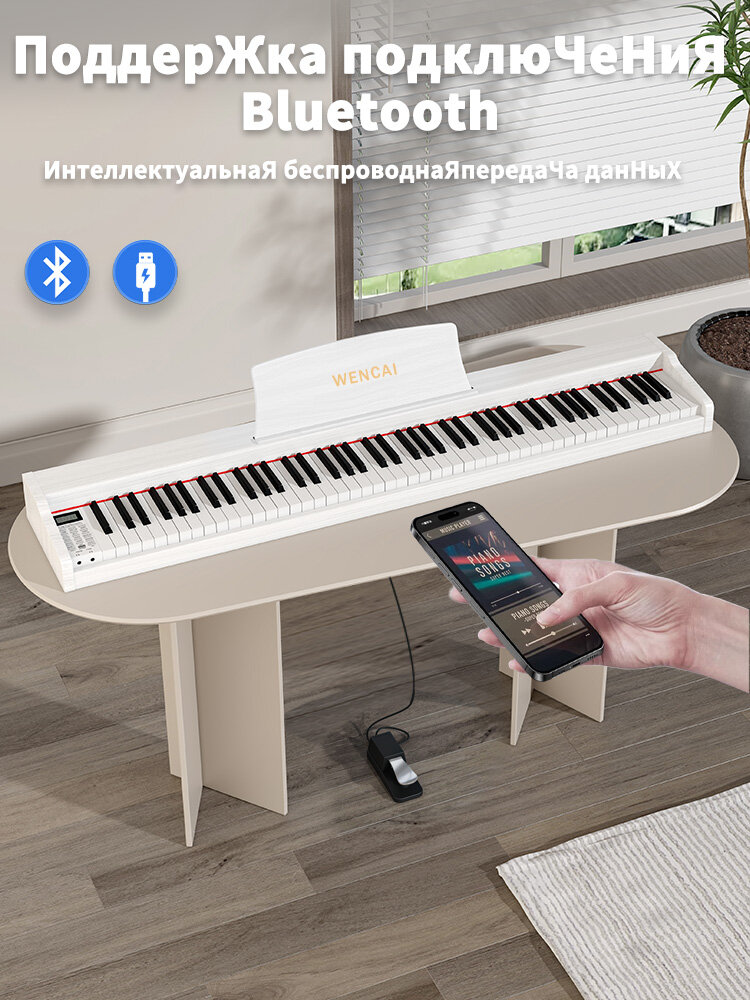 Цифровое пианино WENCAI BL-280 Полувзвешенная клавиатура клавиатурой (88 клавиш), портативное, с MIDI/USB — фото 1