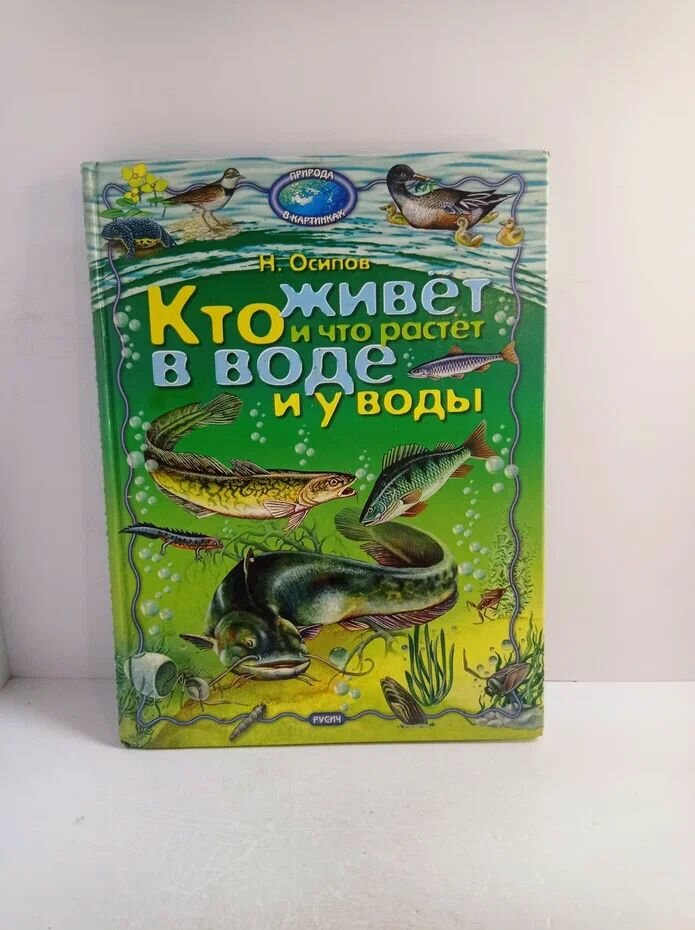 Кто живет и что растет в воде и у воды