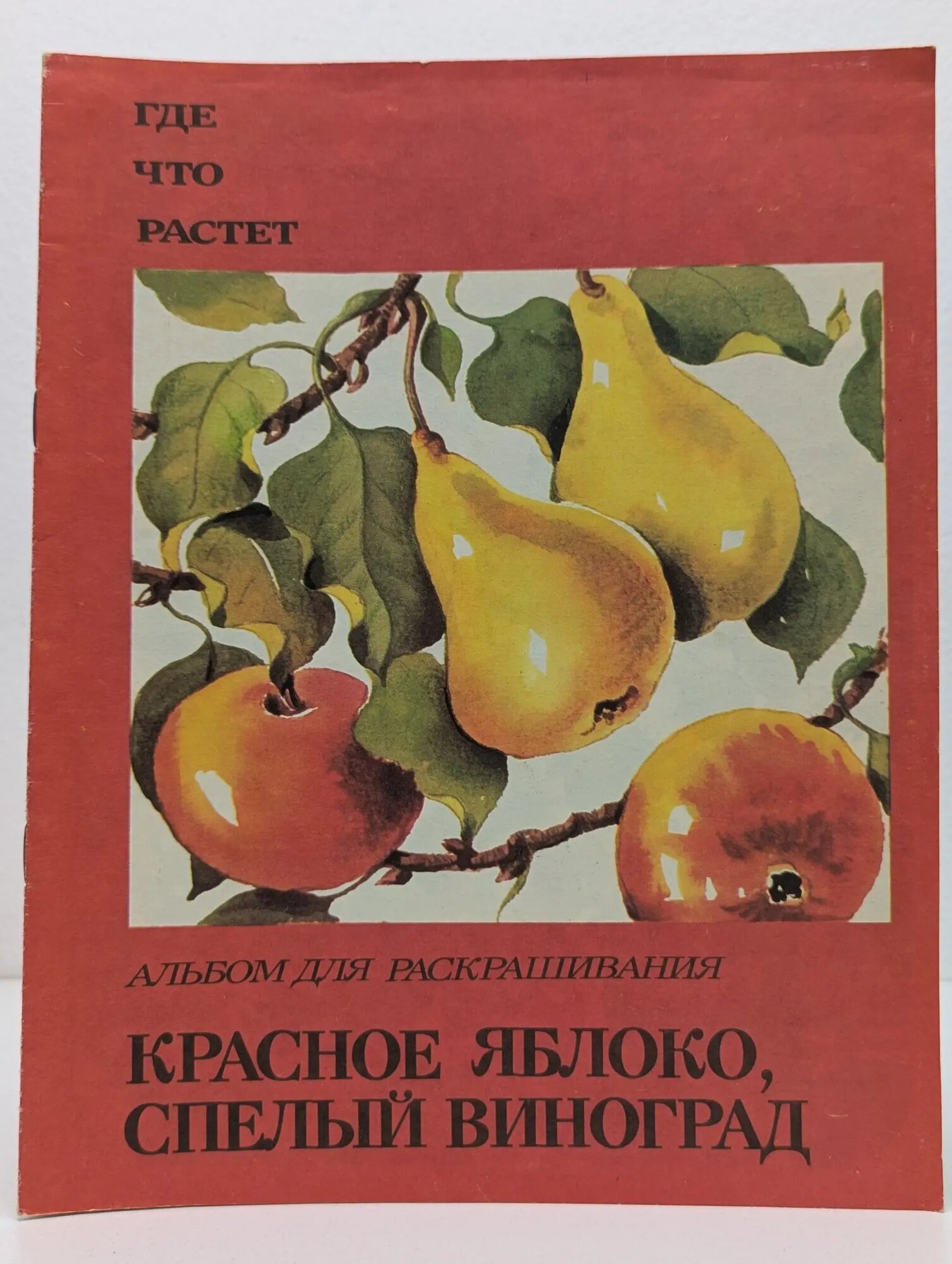 Где что растет. Красное яблоко, спелый виноград Сендерова Н. 1989