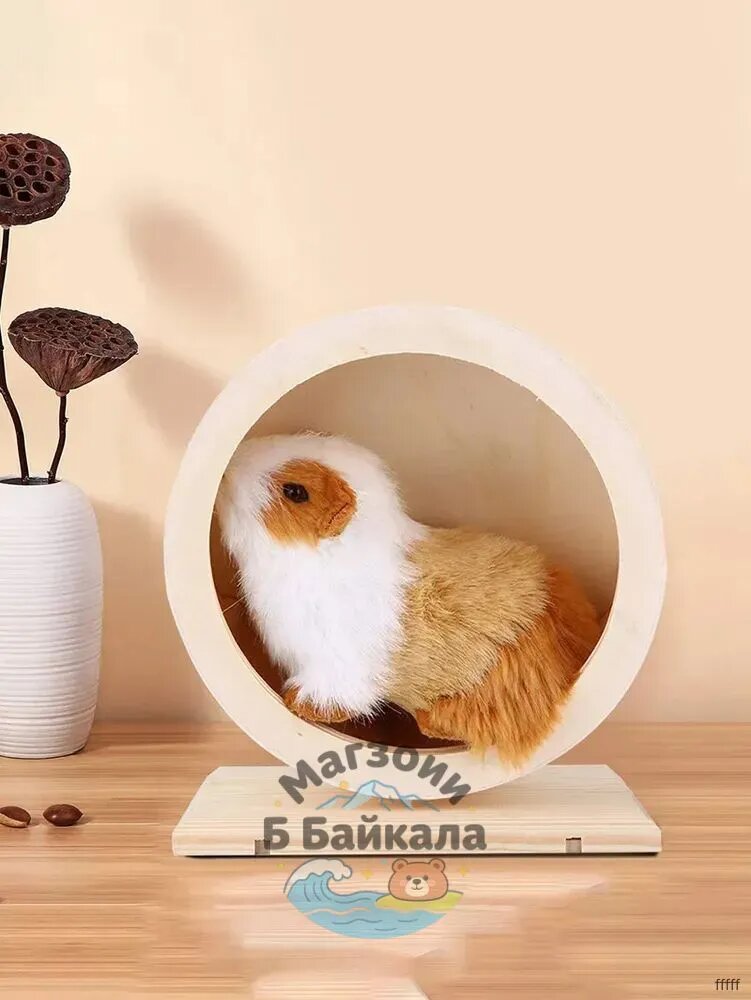 Колесо Для Хомяка — фото 1