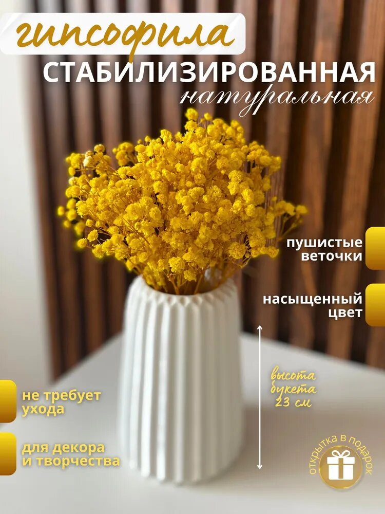 Сухоцветы Гипсофила 23 см 1 шт желтый