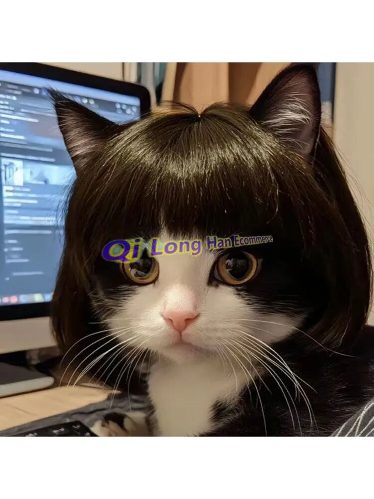 Кошачий парик, шерсть домашней кошки, собачья бахрома, реалистичная шерсть, забавный серый парик