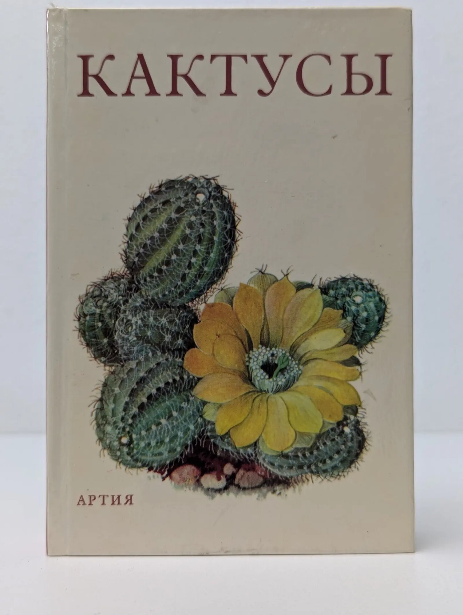 Кактусы Шубик Рудольф 1969