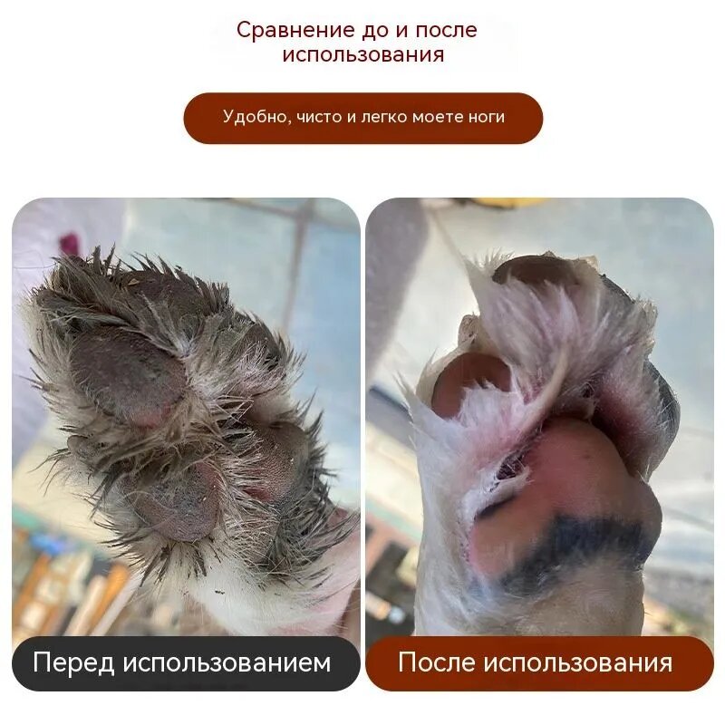 Лапомойка — фото 1