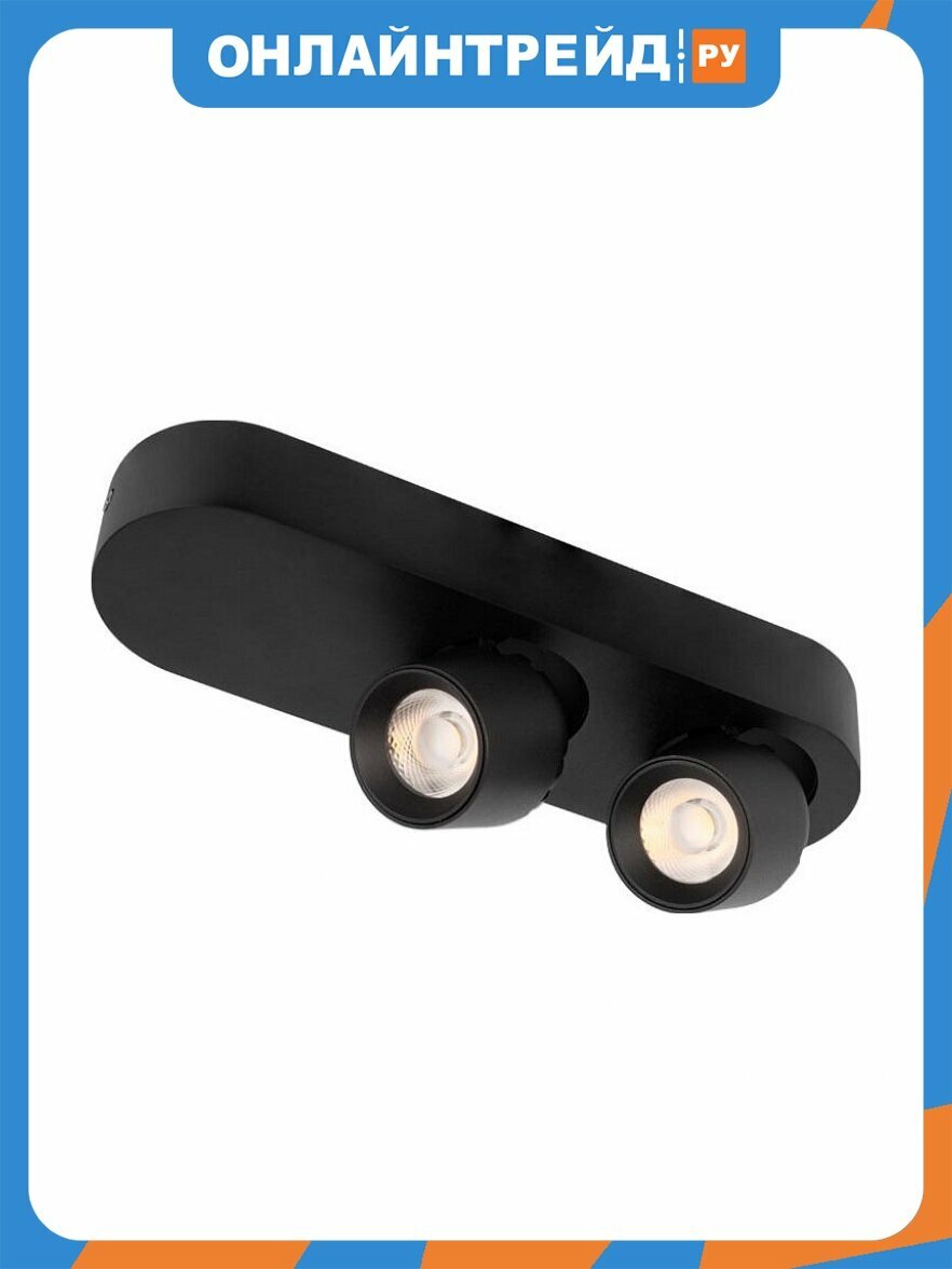 Накладной светильник Loft IT Quiet 10320/2 Black