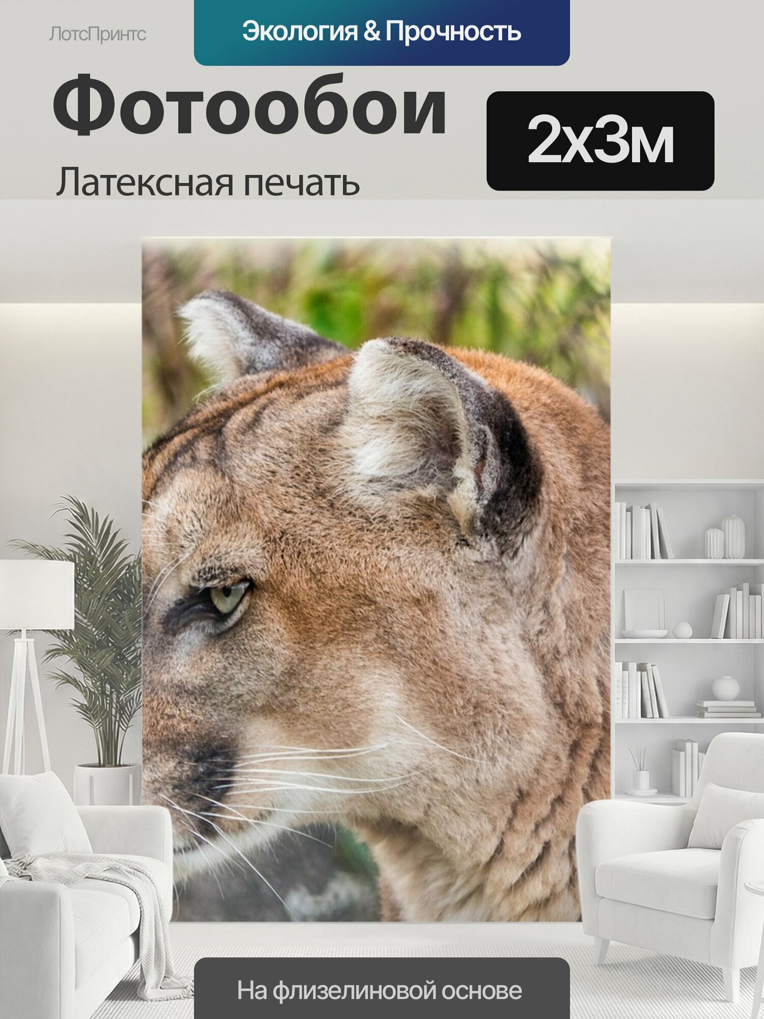 Фотообои моющиеся ударопрочные "Пума, горный лев, большой кот" 200x300 см. латексная печать