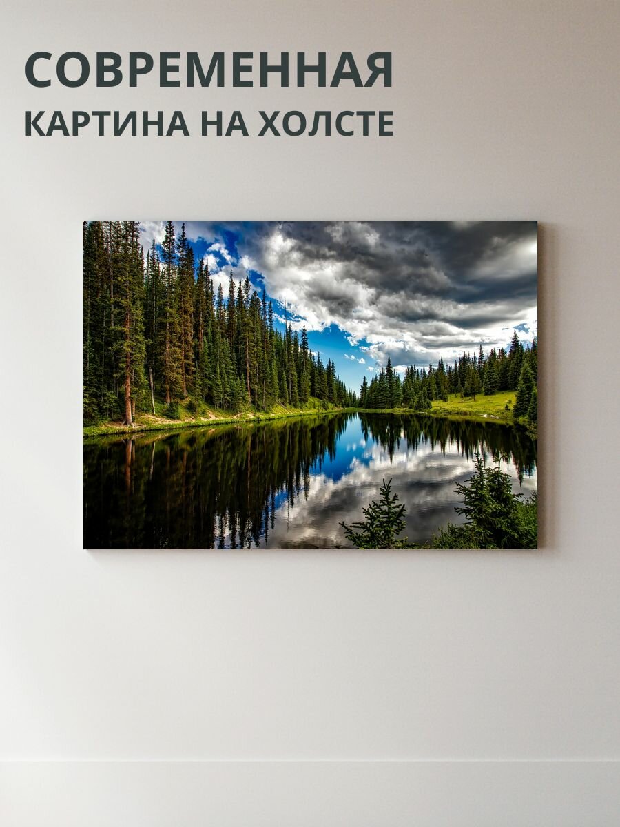 Картина на холсте Озеро и лес 70x50 см