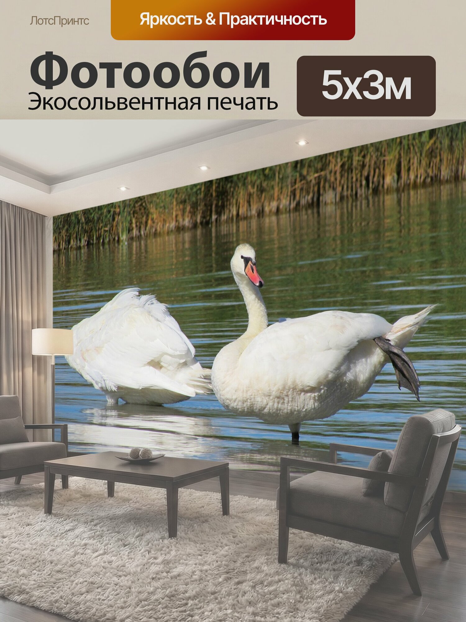 Фотообои "Лебеди, птицы, вода" 500x300 см. экосольвентная печать