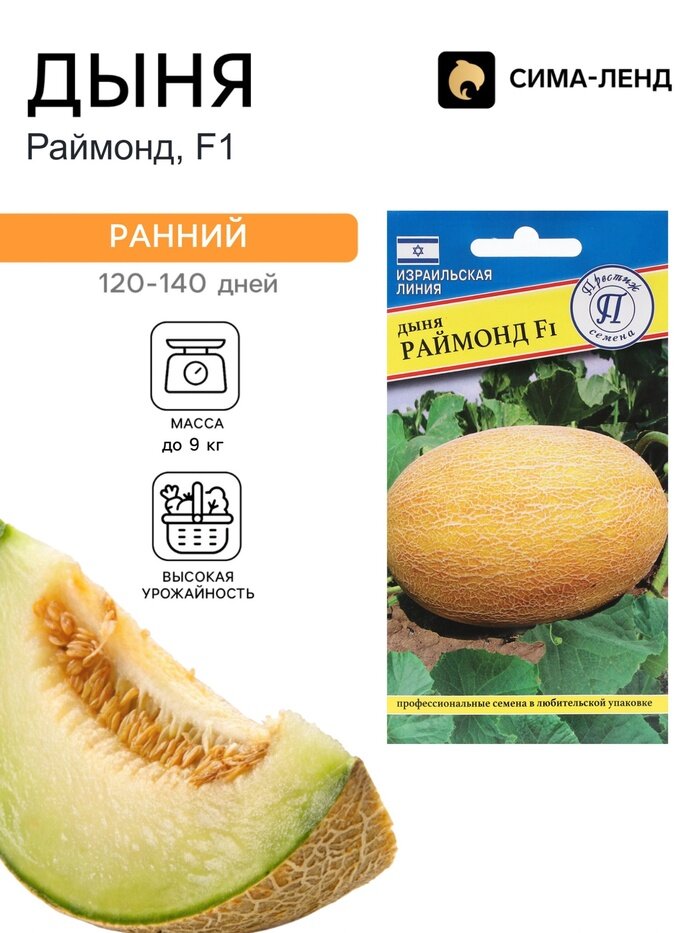 Семена Дыня «Раймонд» F1, 3 шт, «Престиж семена»