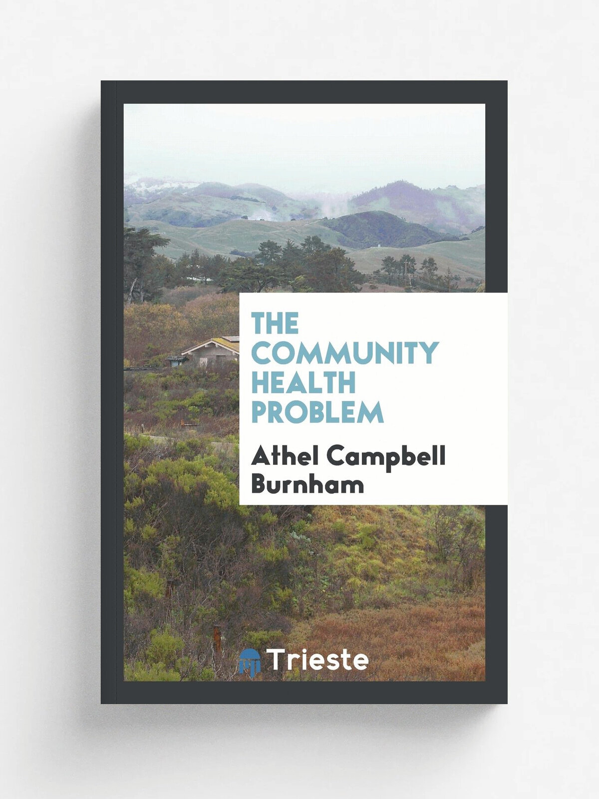 The Community Health Problem