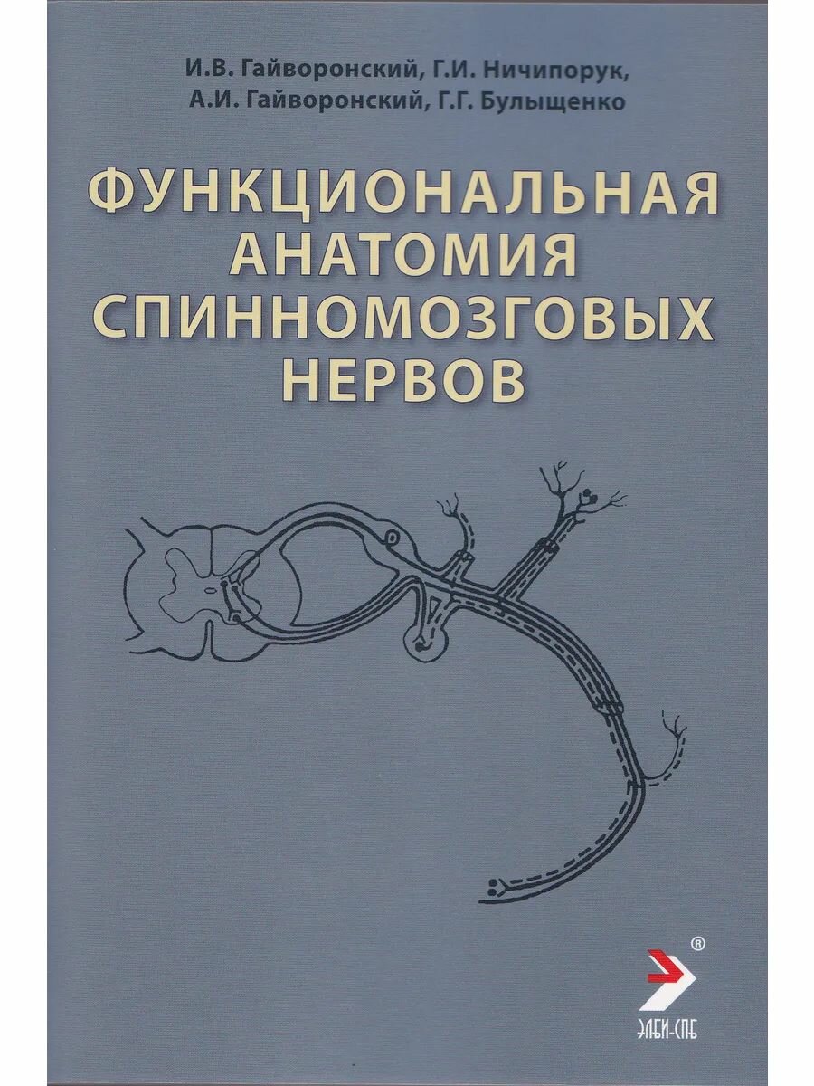 Функциональная анатомия спинномозговых нервов