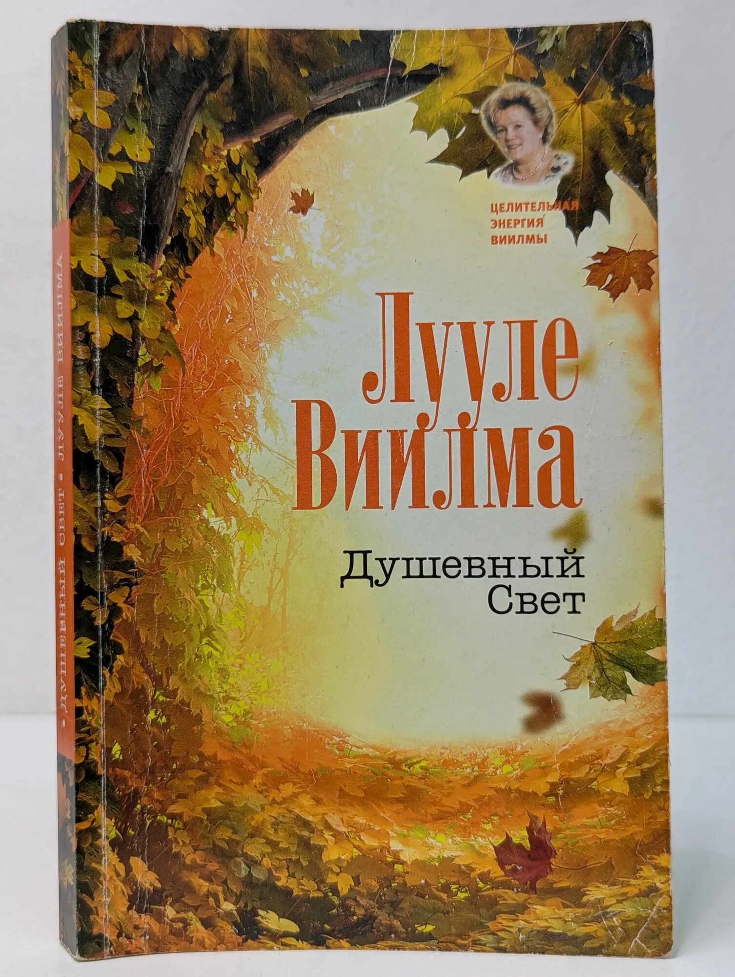 Целительная энергия Виилмы. Душевный Свет Вийлма Лууле 2017