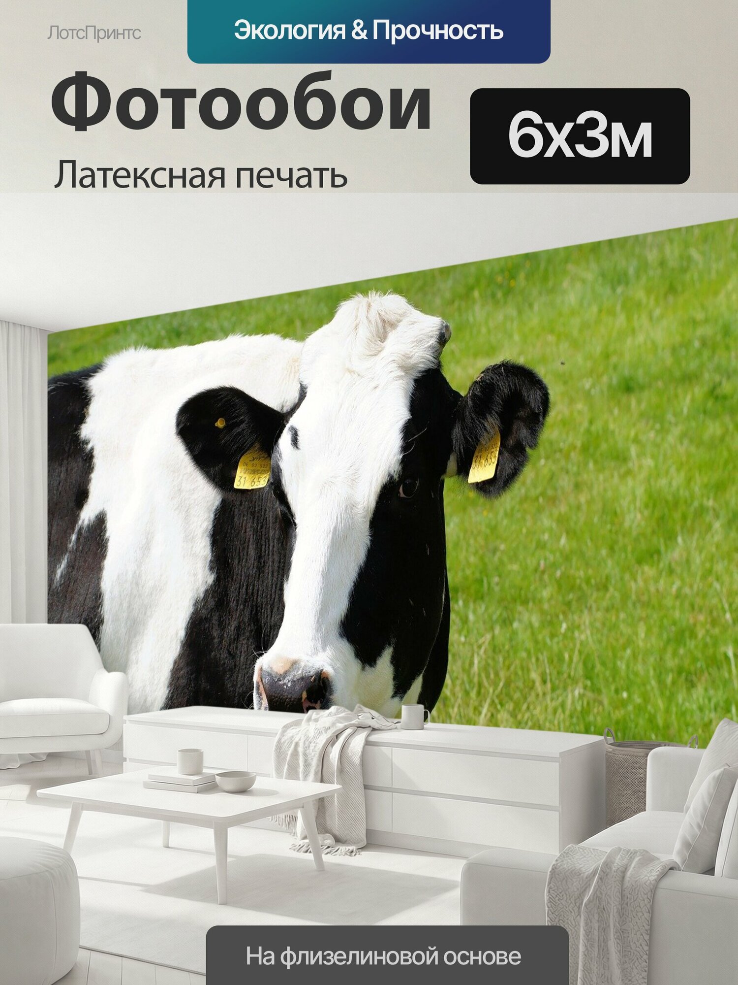 Фотообои моющиеся ударопрочные "Корова, коровье молоко, голштинская говядина" 600x300 см. латексная печать