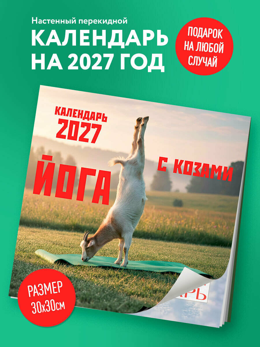 Йога с козами. Календарь настенный на 2027 год (300х300 мм)