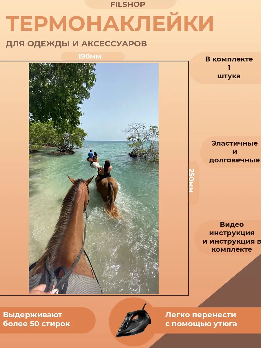 Термонаклейка на одежду девушка на коне