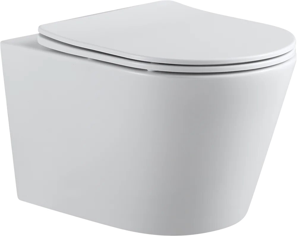 Унитаз подвесной Aquanet Atago 2.0 W с микролифтом, безободковый, без бачка, антивсплеск, фаянсовый, белый, глянцевый, овальный, сиденье для унитаза в комплекте