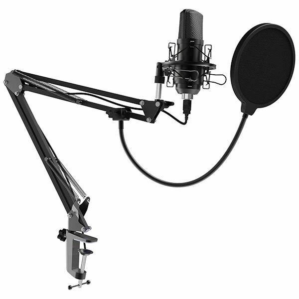 Микрофон вокальный Ritmix RDM-169 черный