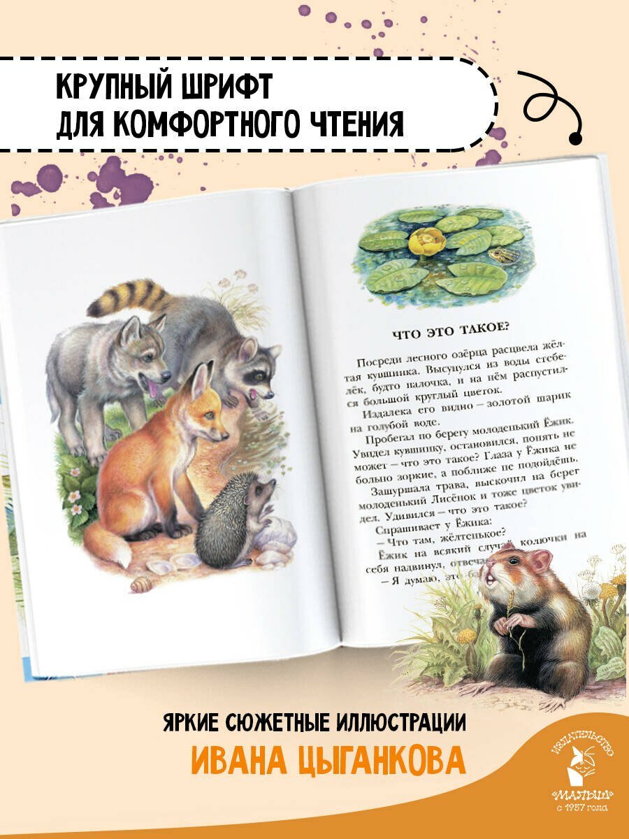 Сказки о животных — фото 1