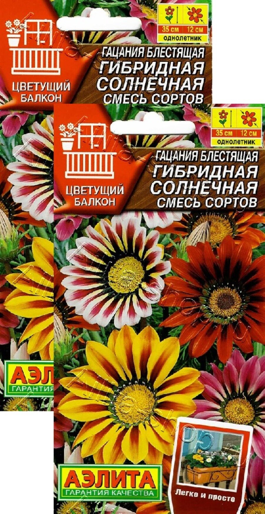 Семена Гацания гибридная Солнечная смесь сортов (5 семян), 2 пакета