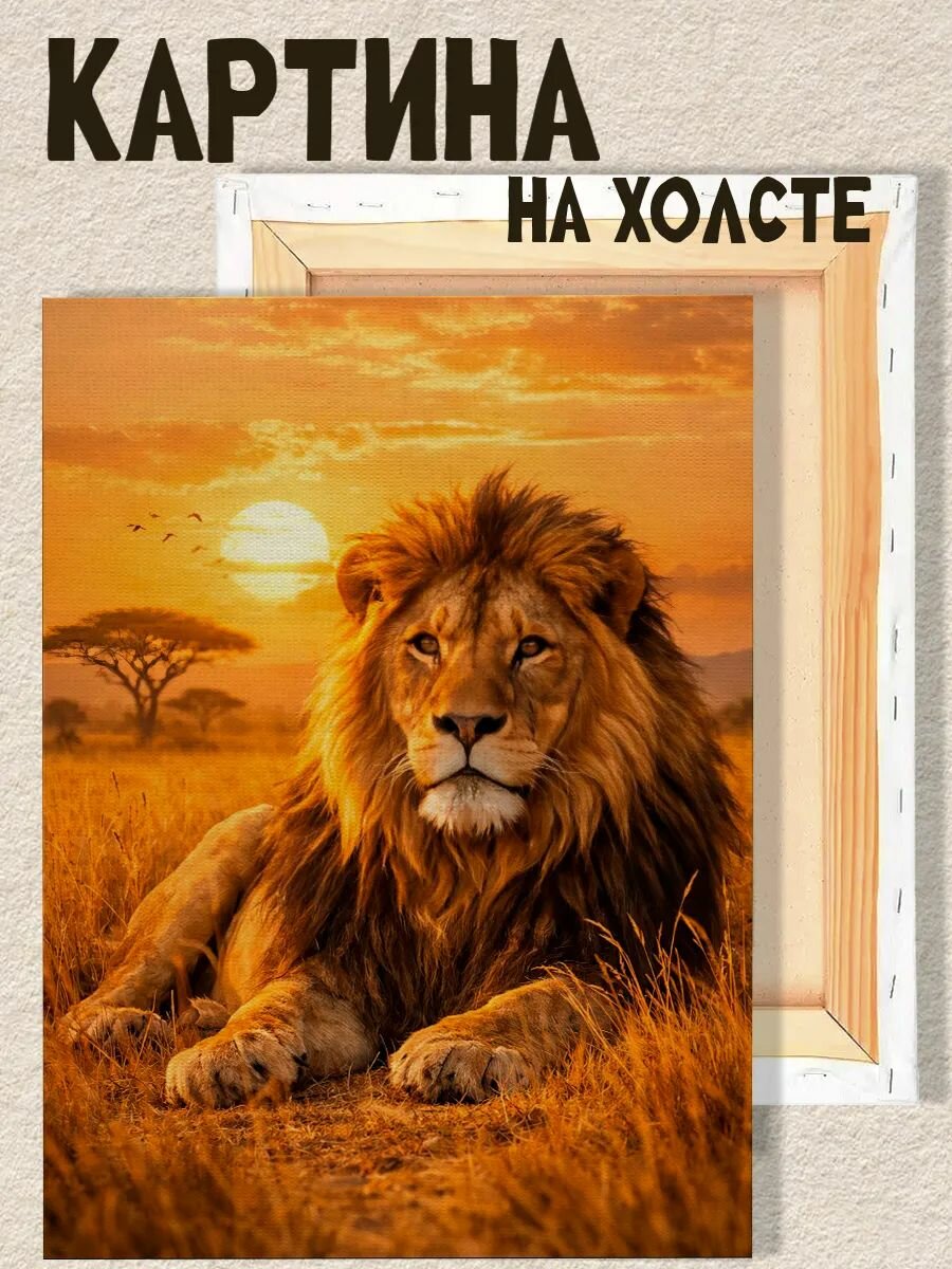 Картина на стену интерьерные Львы, на подрамнике, 1шт, 55х38 размер.