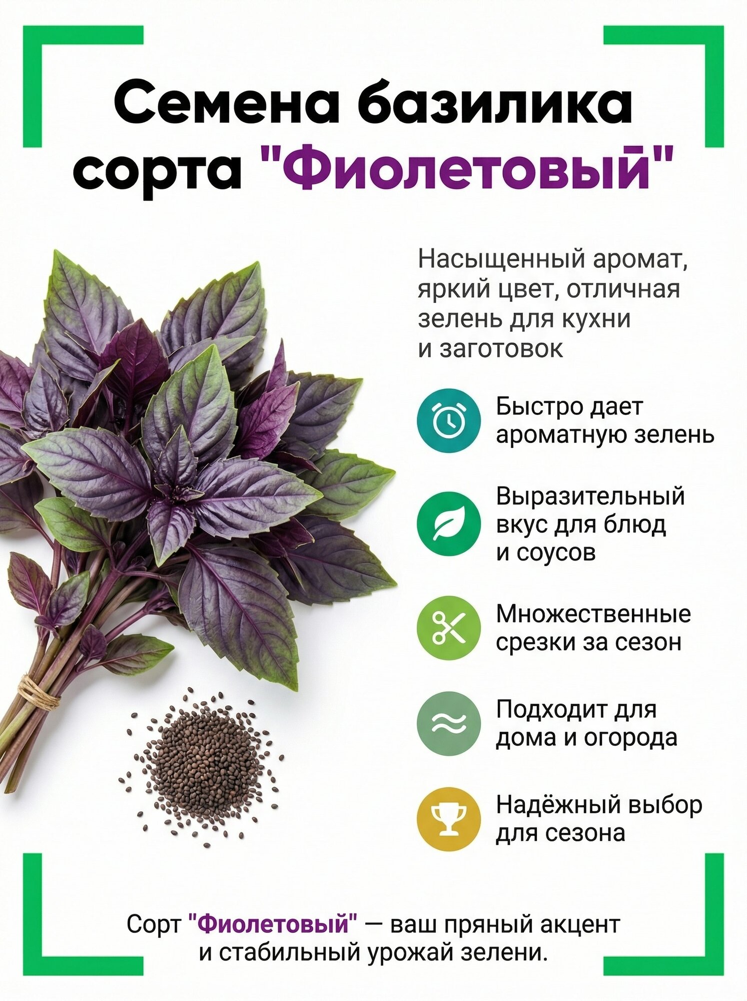 Семена Базилик "Фиолетовый"