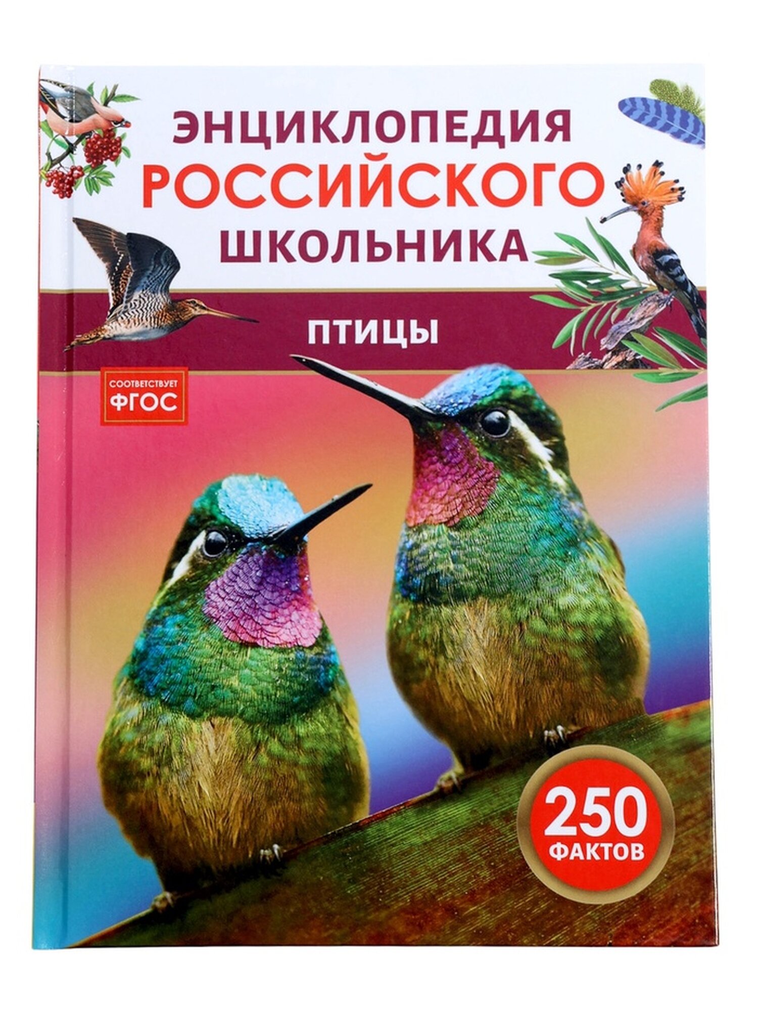 Энциклопедия российского школьника РОСМЭН "Птицы", 2025 г, 48 стр, 70x90 см