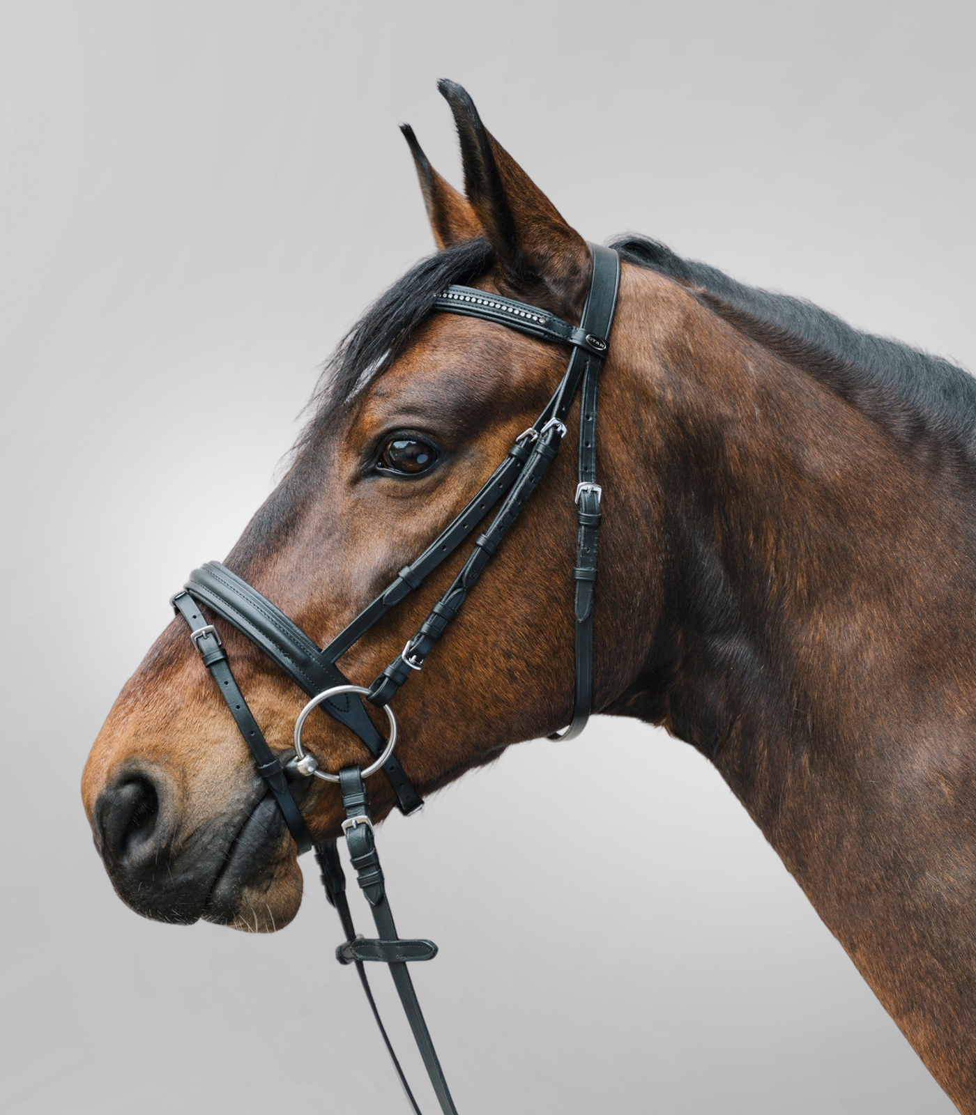 Уздечка Bridle Diamond (WALDHAUSEN, Германия)