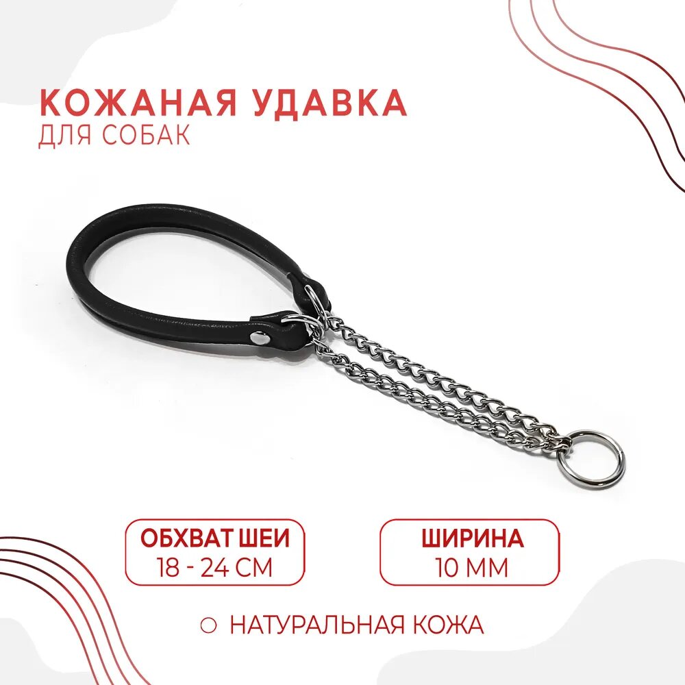 Ошейник-удавка для маленьких собак из натуральной кожи / Чёрный цвет