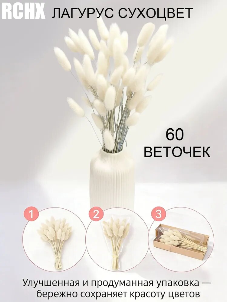 Стабилизированные цветы Амарант, 150 гр, 1 шт